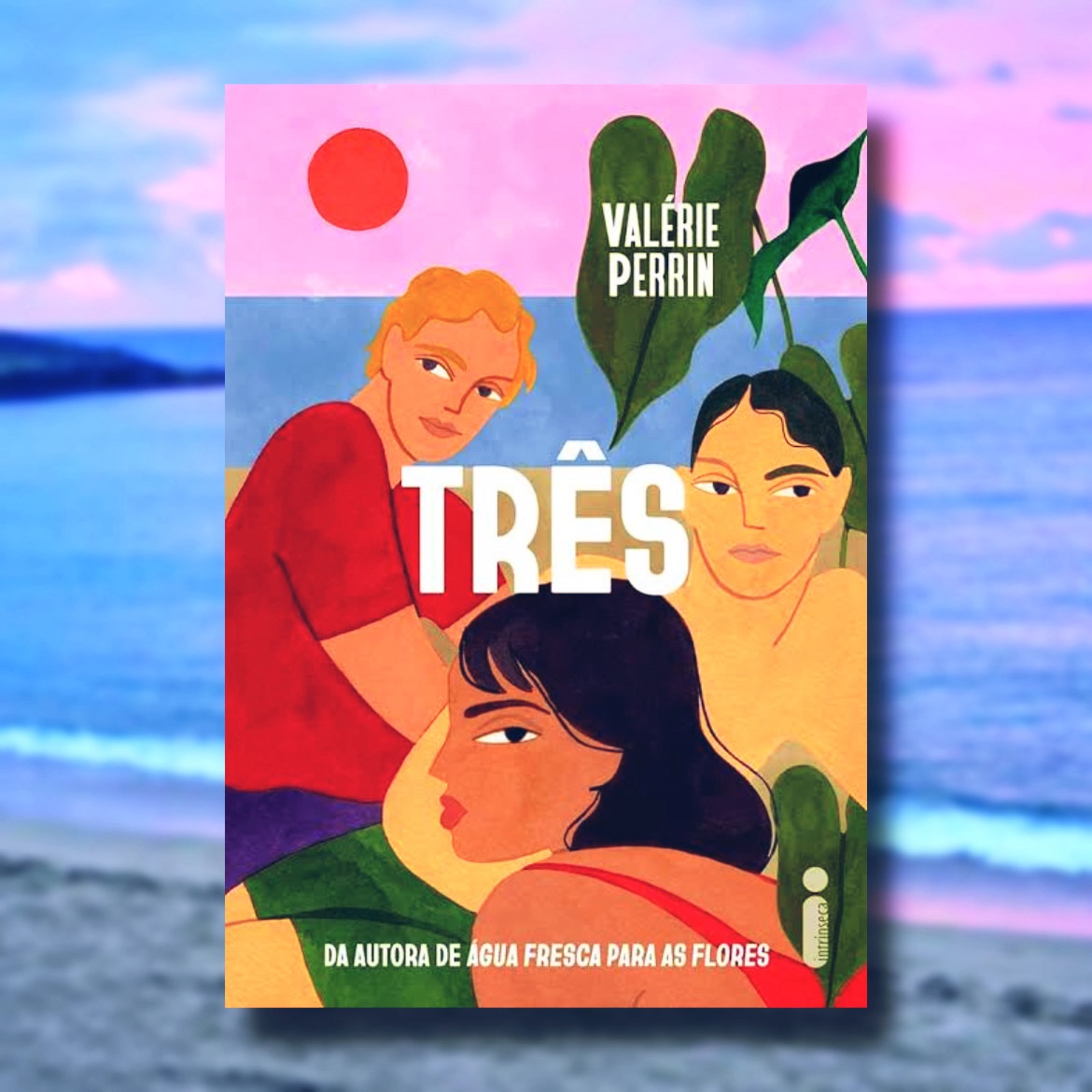 Resenha | Três – Valérie Perrin – Leitor dos Sonhos
